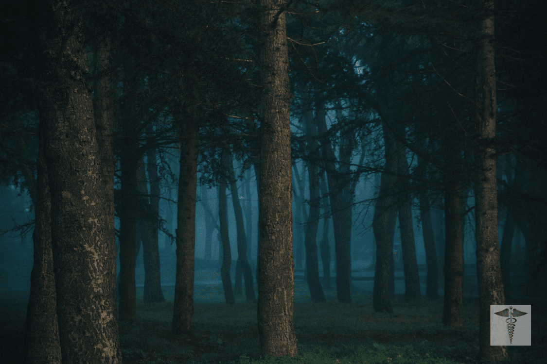 Brain 360 View - Medical 3D Scientific Animation Company