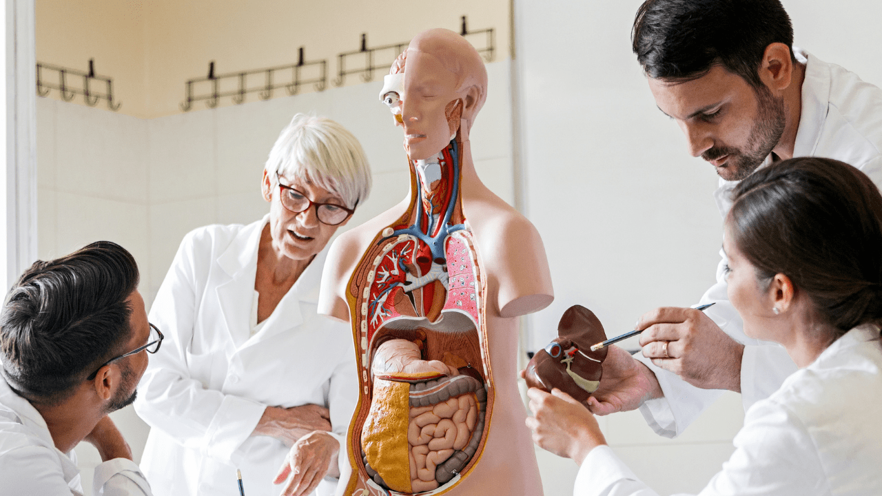 SURGERY ANIMATIONS - Medical 3D Scientific Animation Company