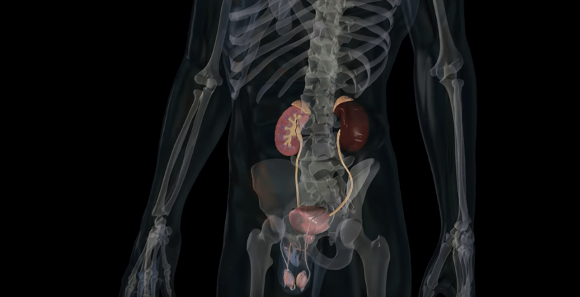 Work Samples | Medical Animation Videos - Medical 3D Animation Company ...