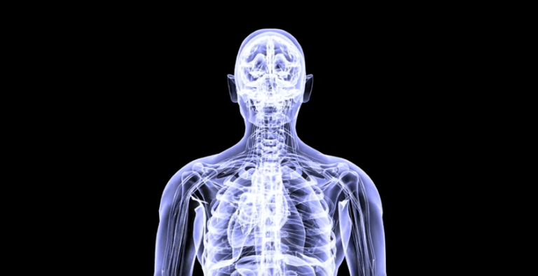 X-ray 3D Animation | Human Anatomy Animation - Medical 3D Scientific ...